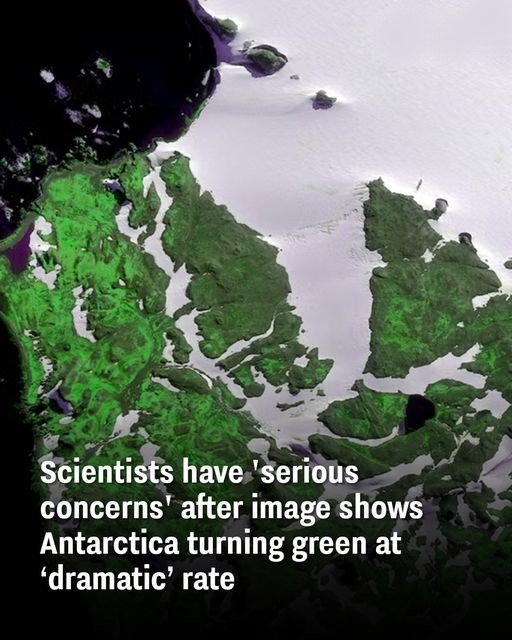 Scientists have ‘serious concerns’ after image shows Antarctica turning ...